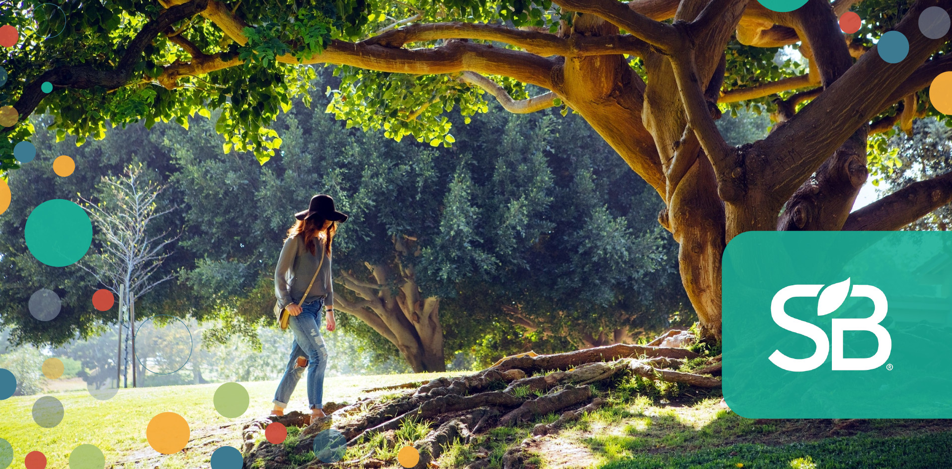 Creating Life from Death: Transcend Attempts to Reverse the ...