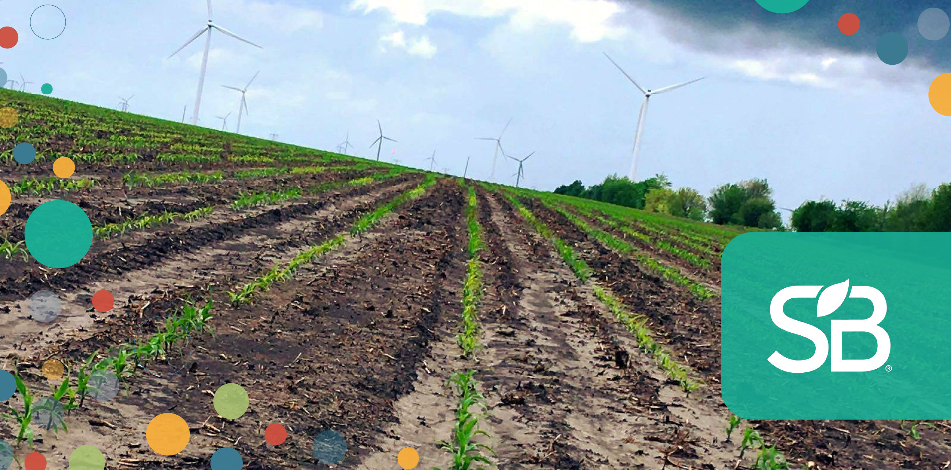 3 Leadership Keys to Climate-Tech Success