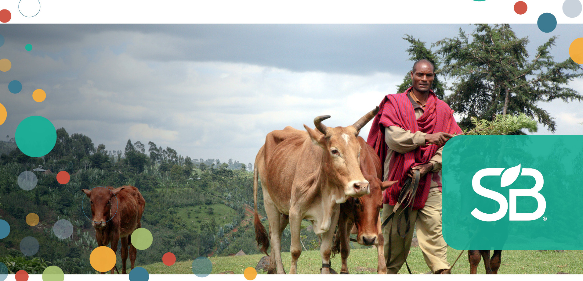 A Sustainable Future Requires Healthy Animals