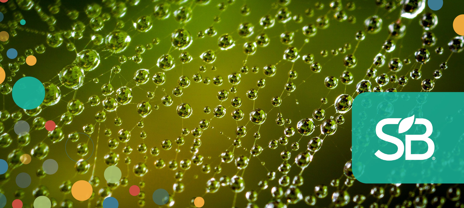 New Coalition Hailing Blockchain as Linchpin of Successful Climate Action