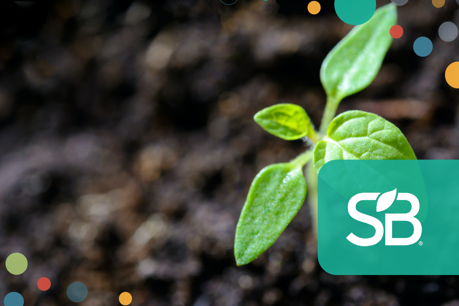 Tory Burch Works with Modern Meadow Bio-Alloy™ For Ella Bio Tote