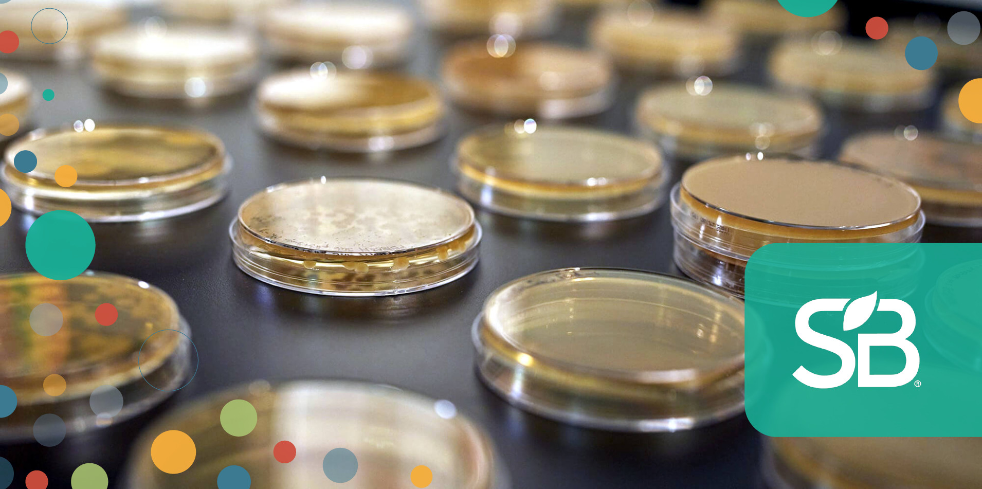 Next-Generation Beauty: How Nature-Inspired Biotech Is Evolving Ethical ...