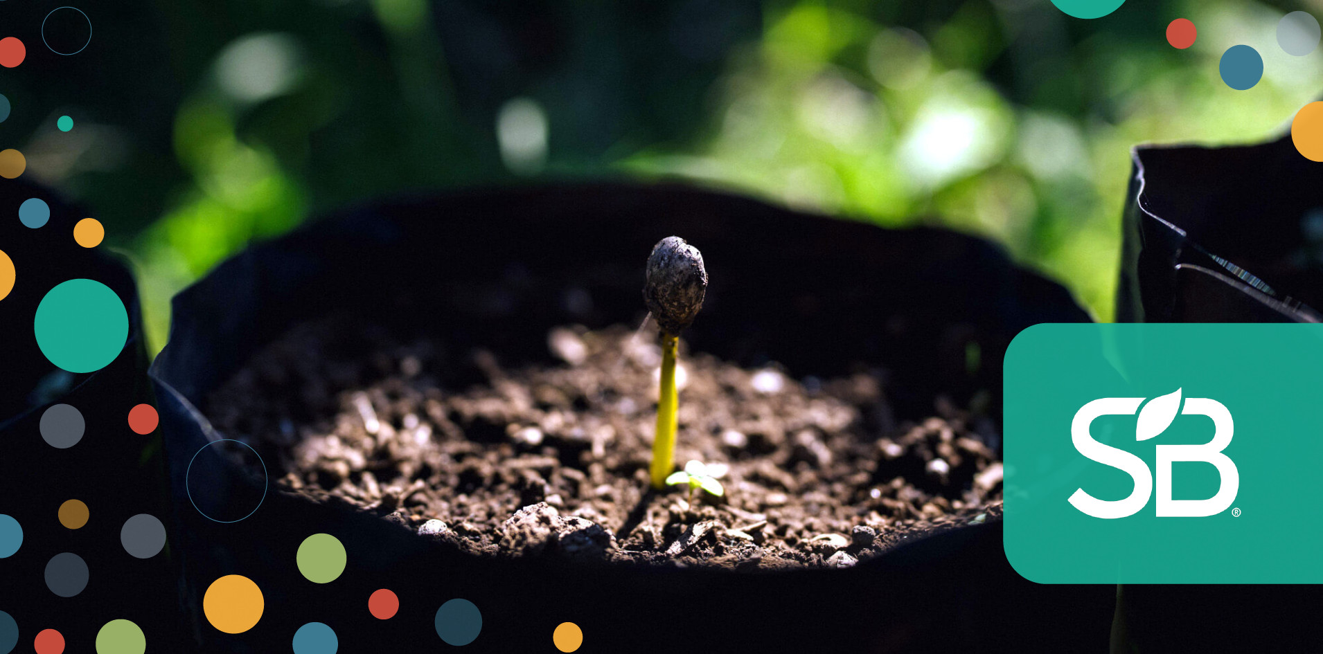 Starbucks Developing Climate-Resistant Coffee Tree Varietals