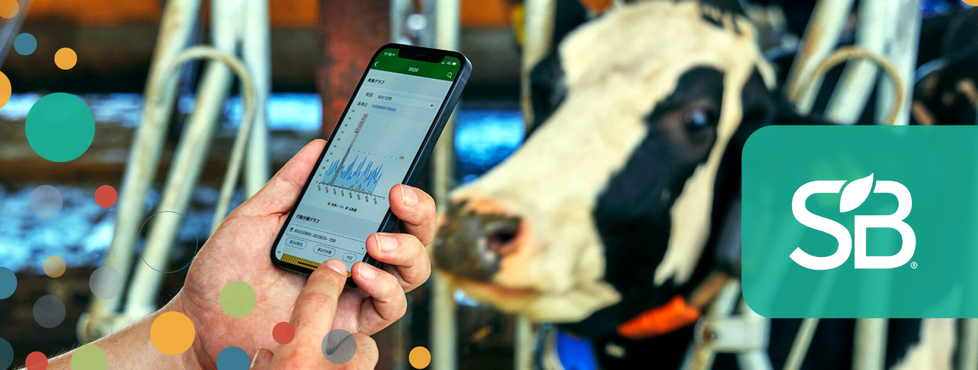 Japanese Dairy Farming Being Optimized by Digital Tech, Sustainable ...