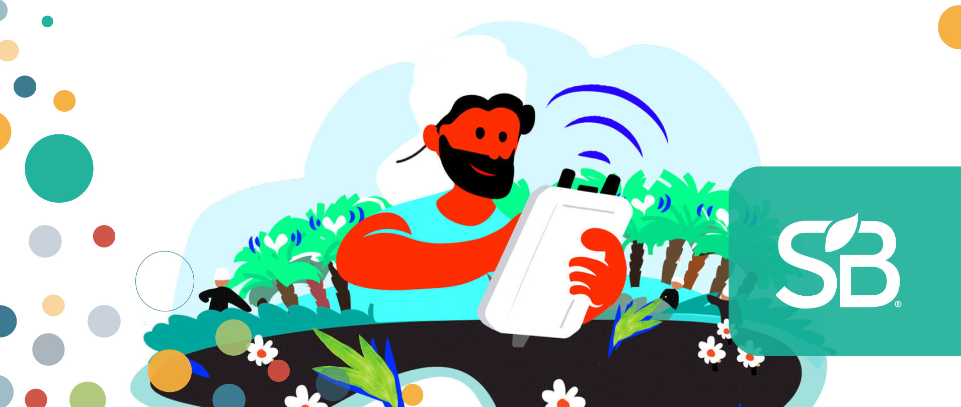 A Sound Solution: How Palmear Is Revolutionizing Palm Tree Pest Control