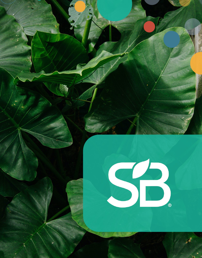 DSD Given $250M Strategic Investment from Cox Enterprises