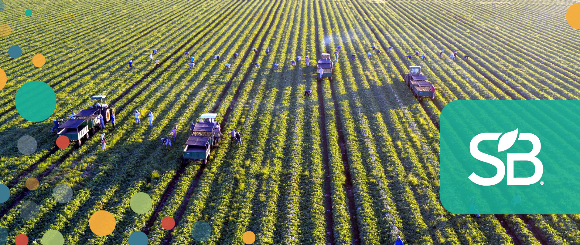COP28: Food-Systems Transformation Finally Becoming Part of the Climate ...