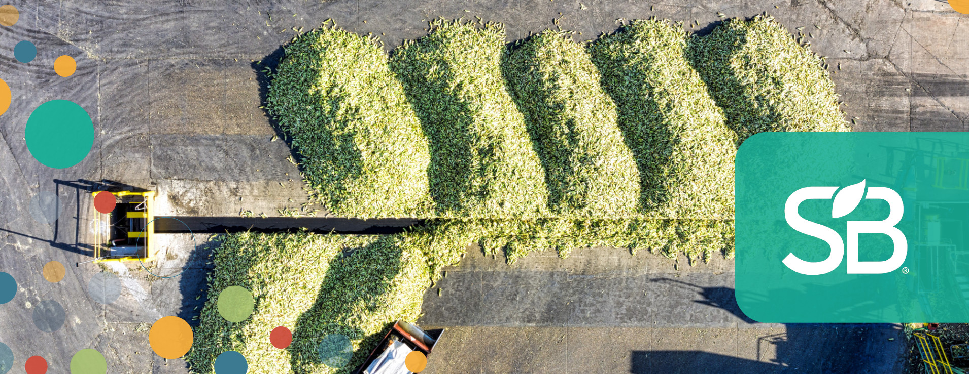 From Farm to Renewable Energy: The Win-Win Solution Bringing Us Closer ...