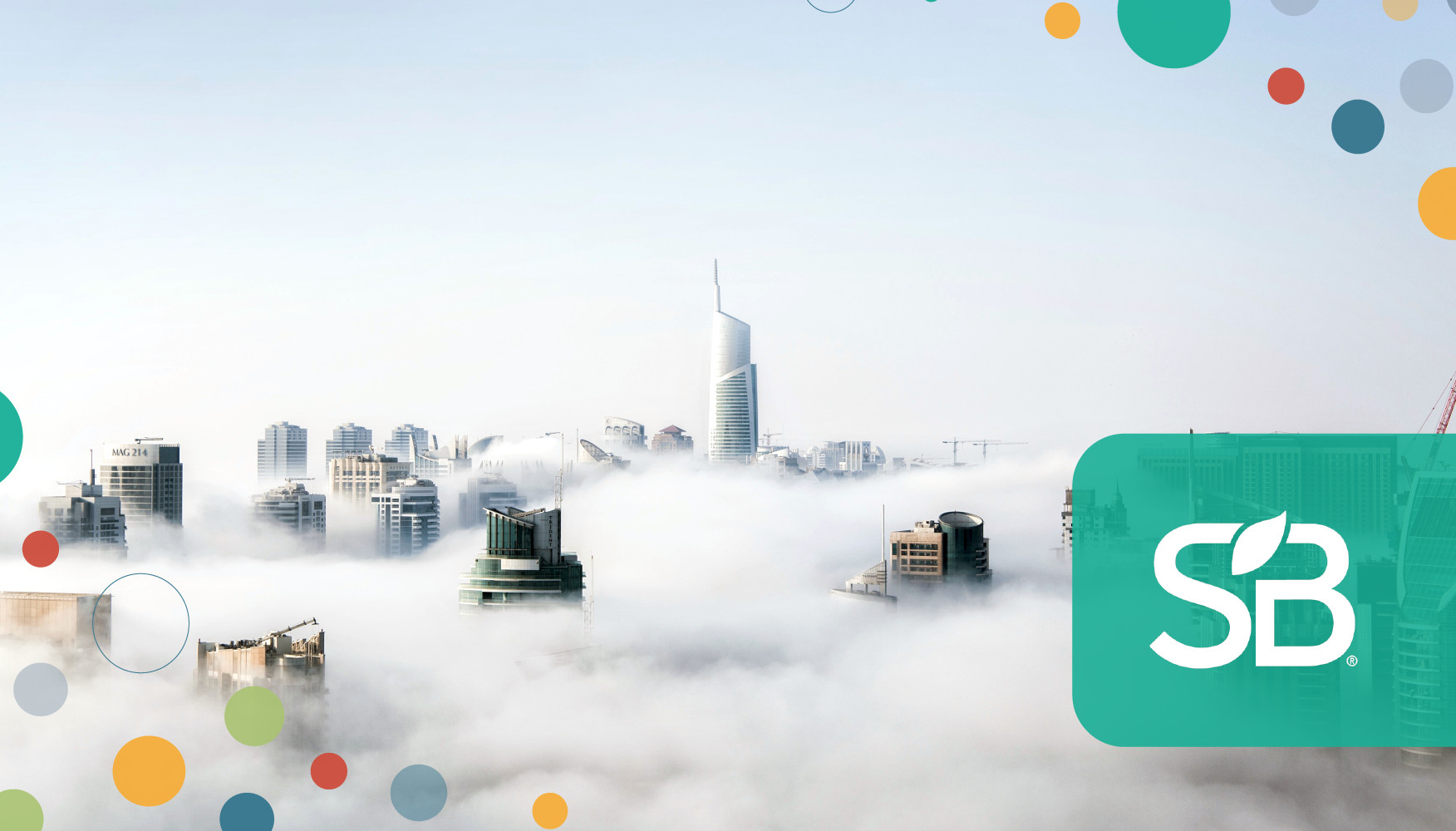 Transform to Net Zero: What Collective Climate Action Looks Like, One ...