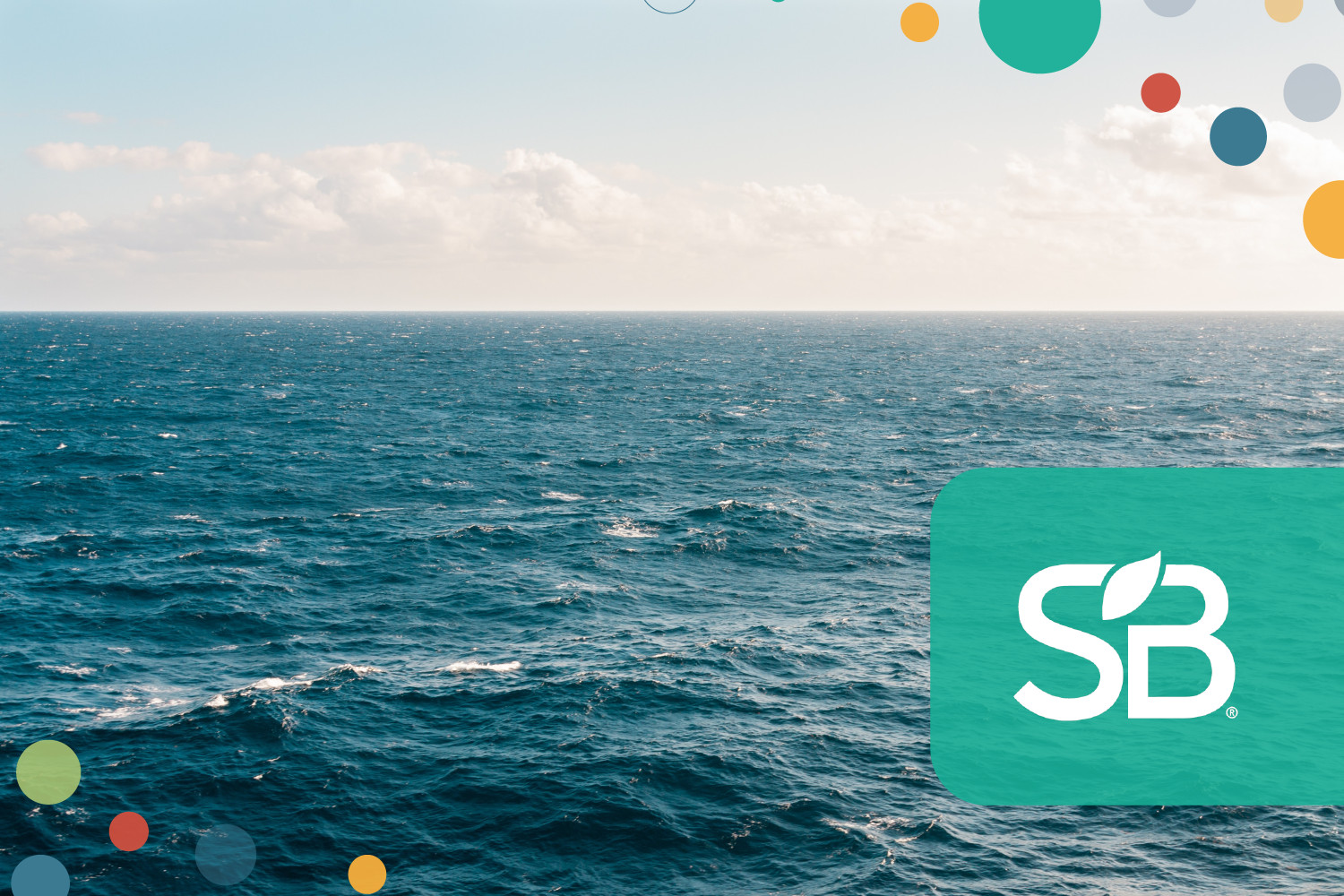 Plastic Bank Celebrates Stopping its Billionth Bottle of Ocean-Bound ...