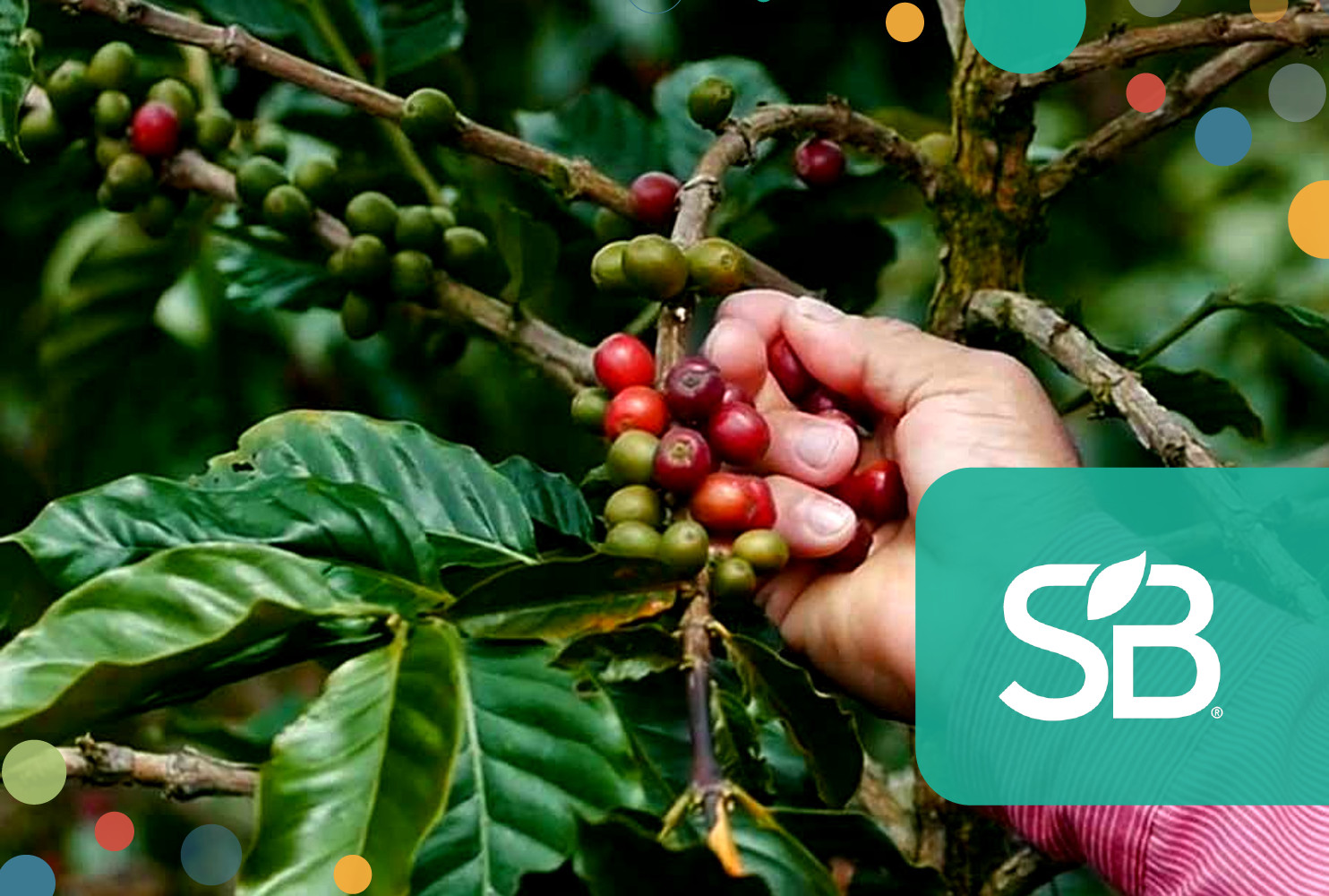 CSR v CSV: The Difference and Why It Matters CSR v CSV: The Difference and Why It Matters