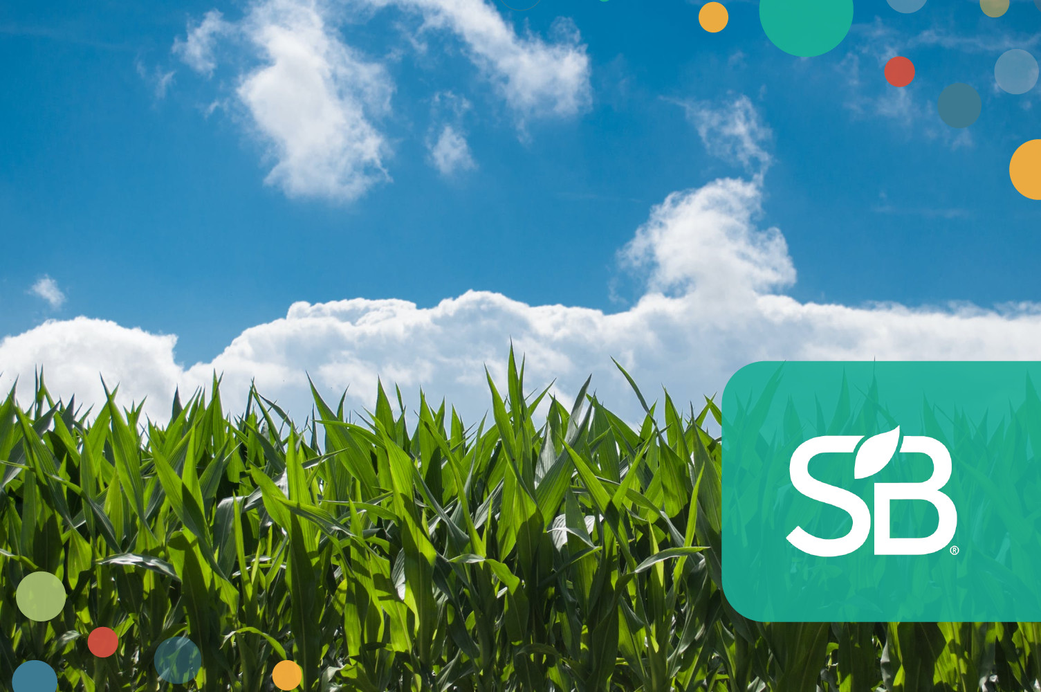 PepsiCo Releases 2019 Sustainability Report; Highlights Progress Toward ...