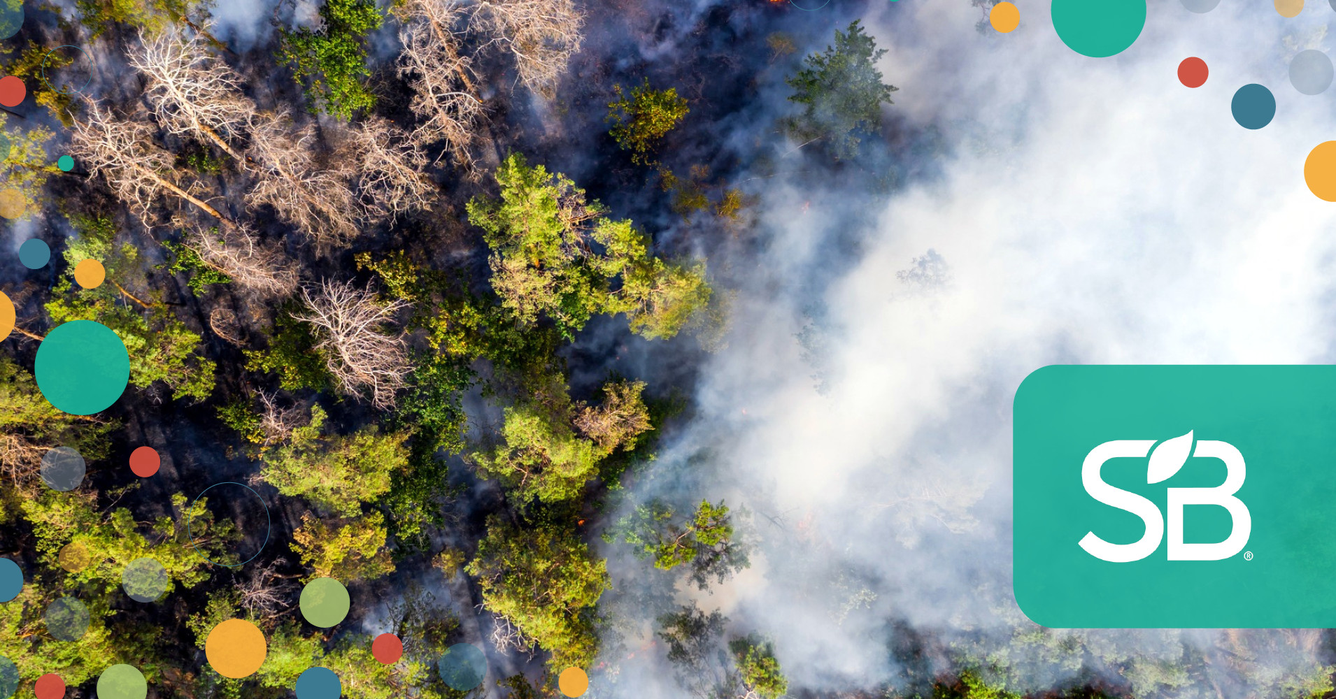 This Startup Could Spark A Revolution In Early Wildfire Detection