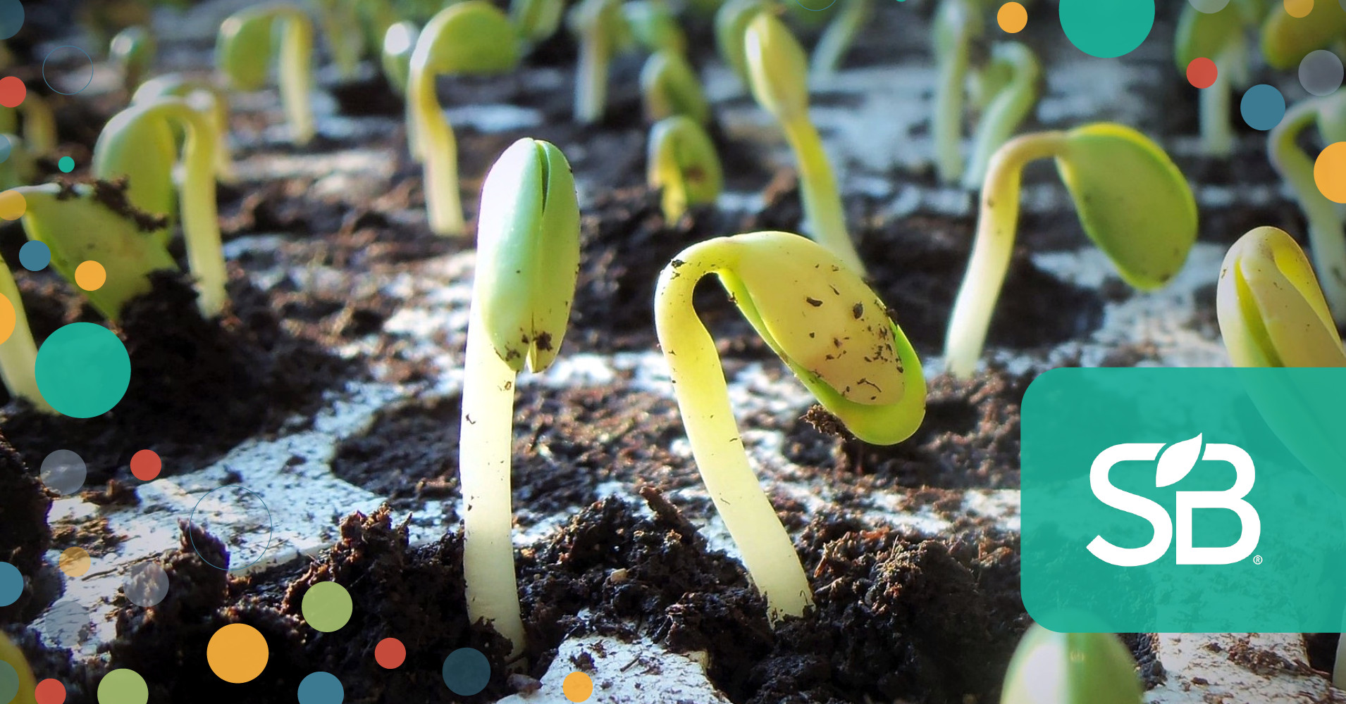 Case Study: Collaborating to Cultivate Regenerative Practices ...