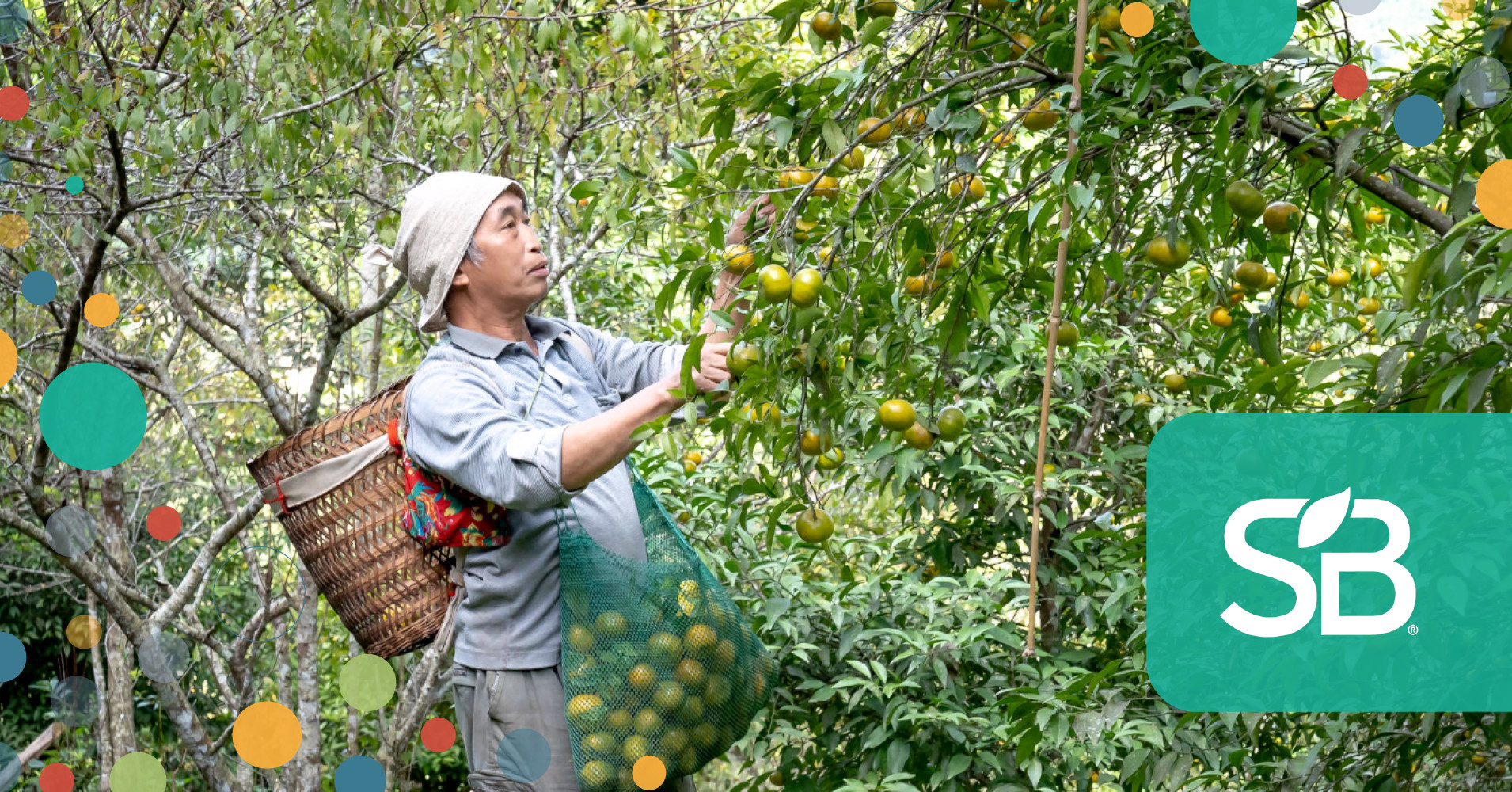 Streamlining Certification Will Help Scale a Sustainable Food System Streamlining Certification Will Help Scale a Sustainable Food System