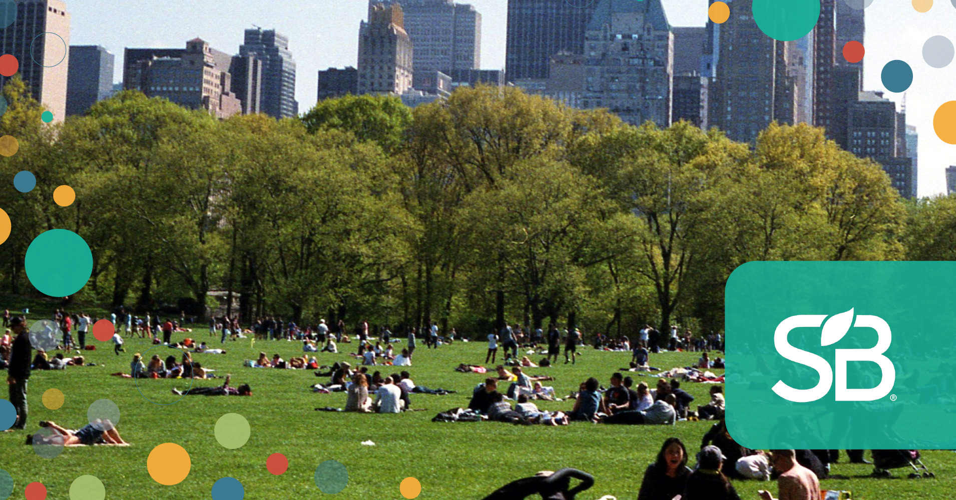 SFI’s New Standard Aims to Bring Holistic Protection to Urban Forests