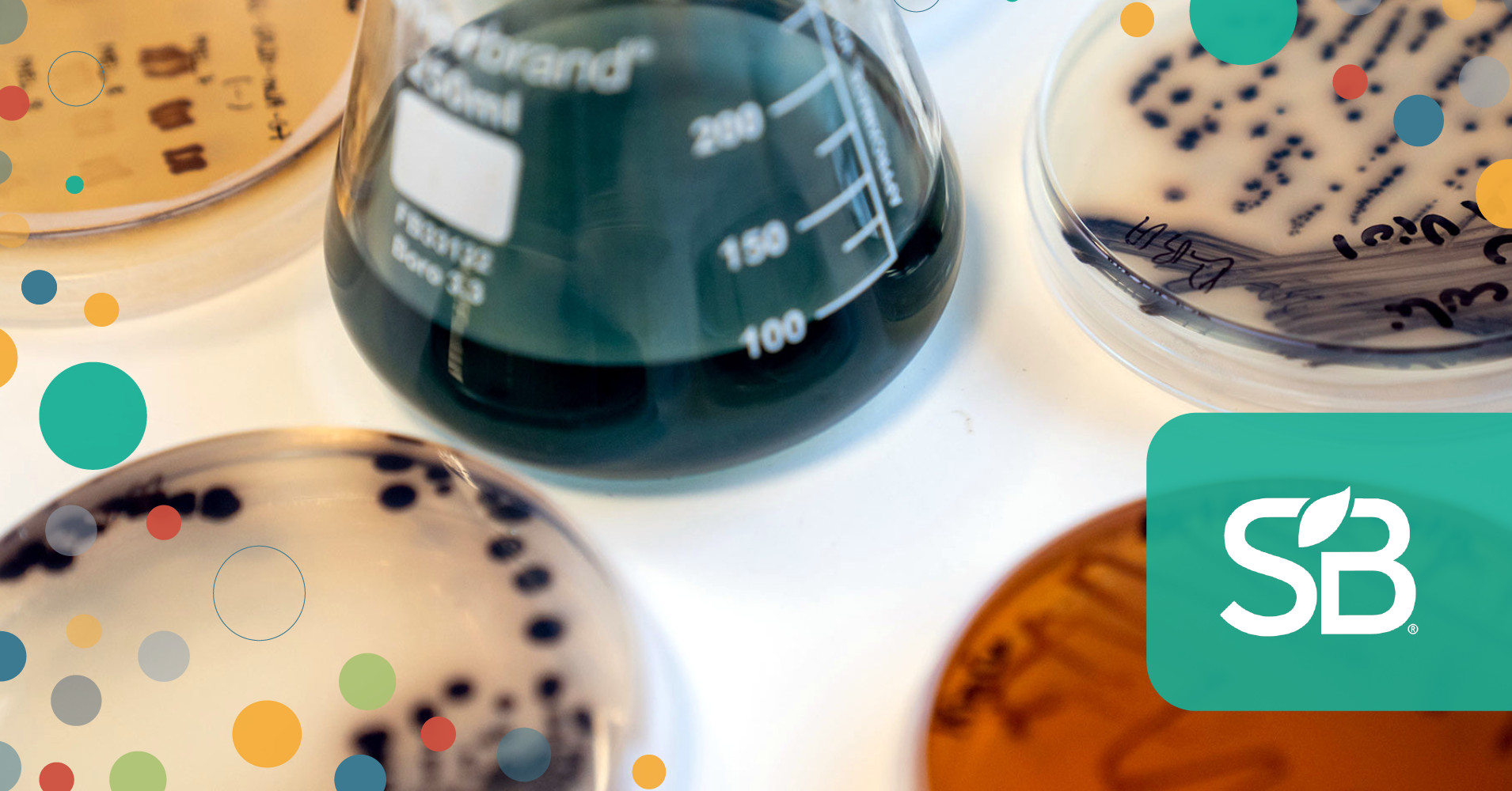 Startup Using Biomimicry to Break Textile Dyeing Down to Its DNA