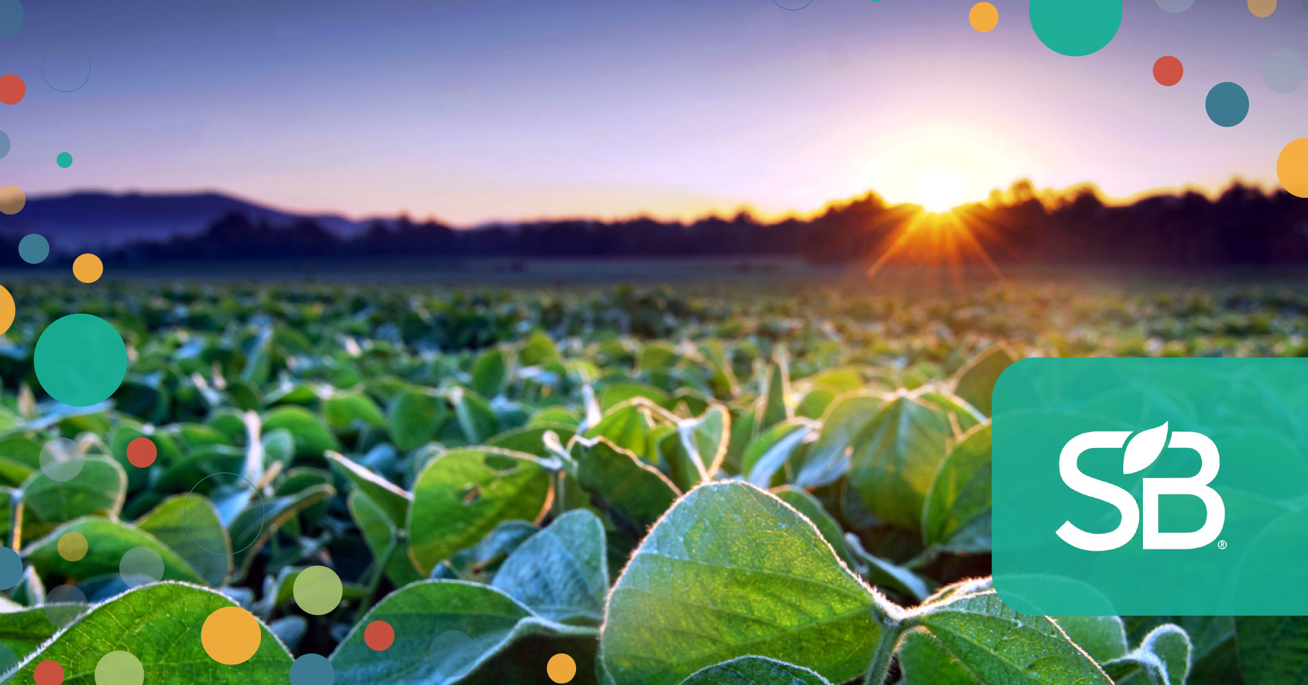 How US Soy Is Cultivating Sustainability Around The World