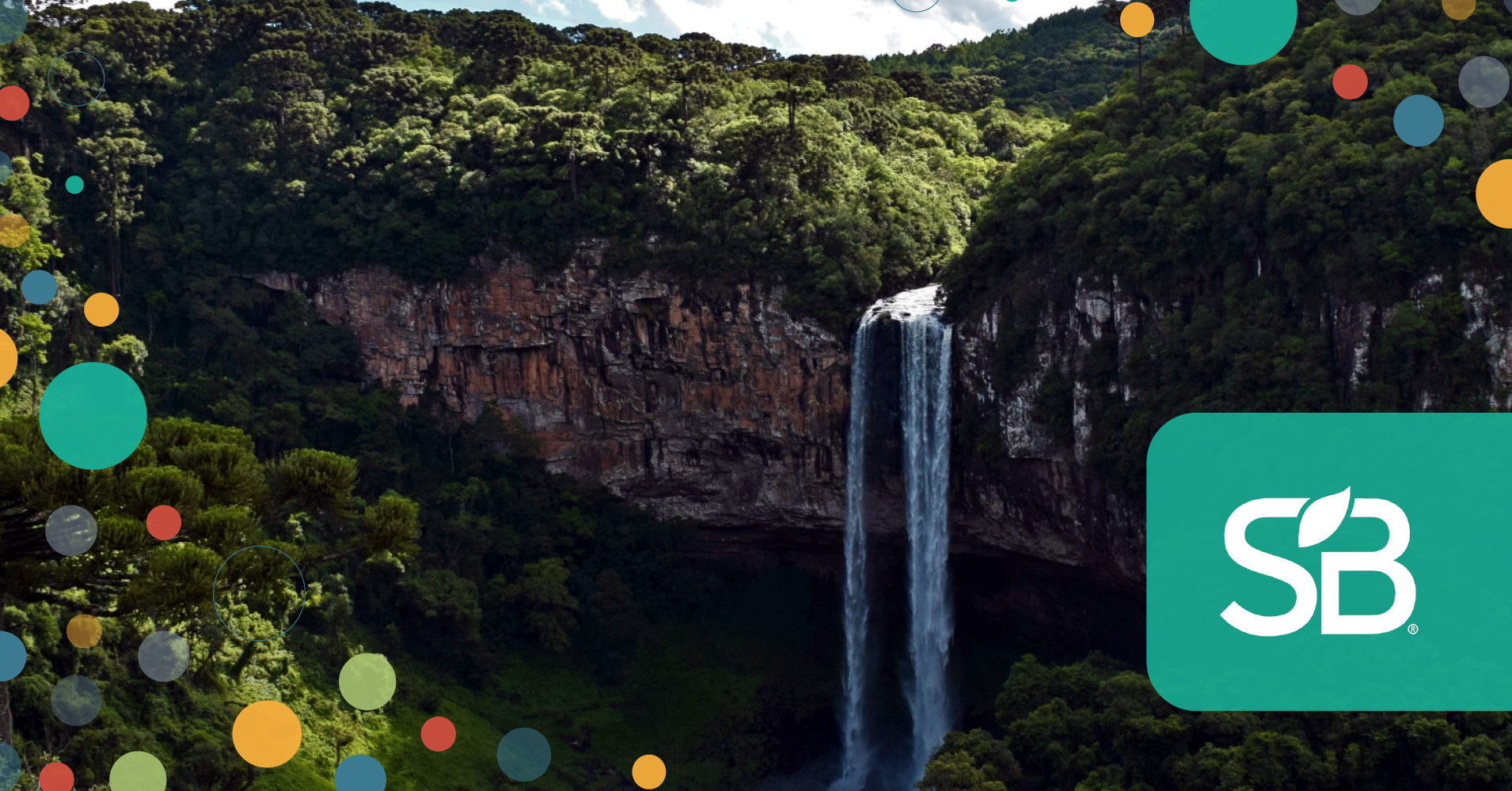 First 3 Carbon-Offset Programs Deemed Trustworthy by Integrity Council