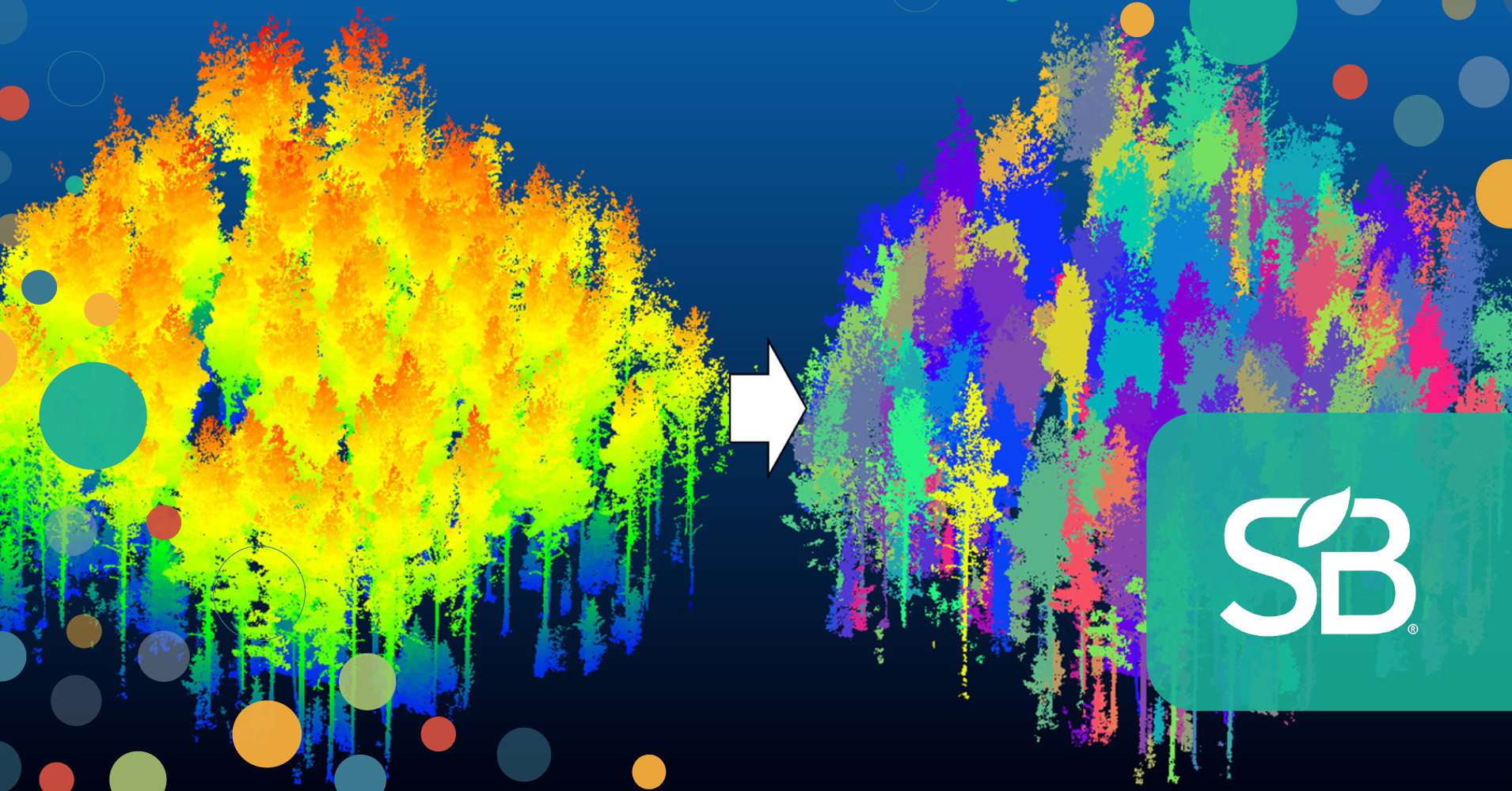 Purdue Researchers Aim to Prevent Wildfires by ‘Studying Every Tree’