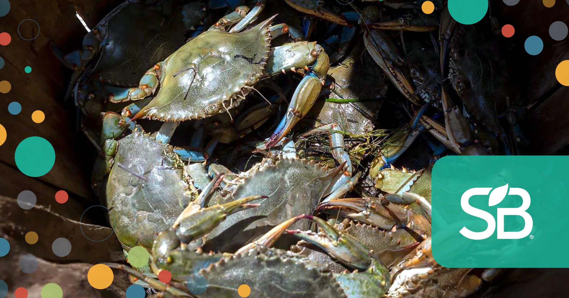 A Cracking New Use for Shellfish Waste: Extending the Life of Produce