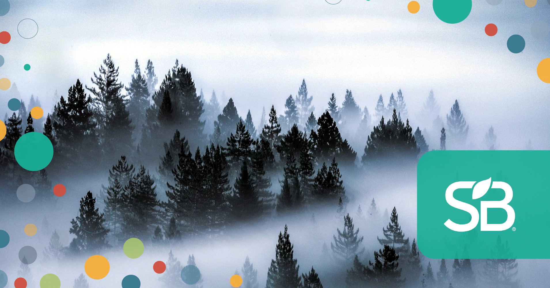 Balancing Risk and Impact in the Evolving Carbon Market