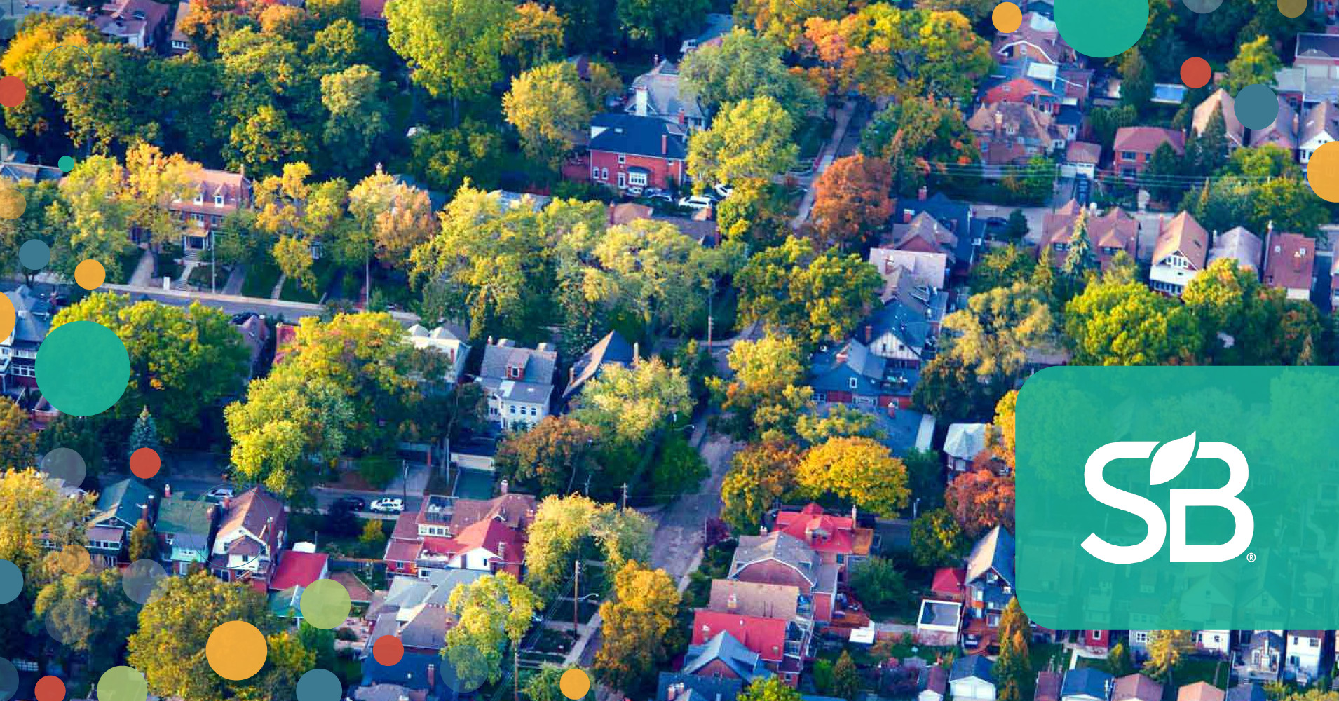 Urban Forests: An Essential Tool for Climate-Resilient Communities