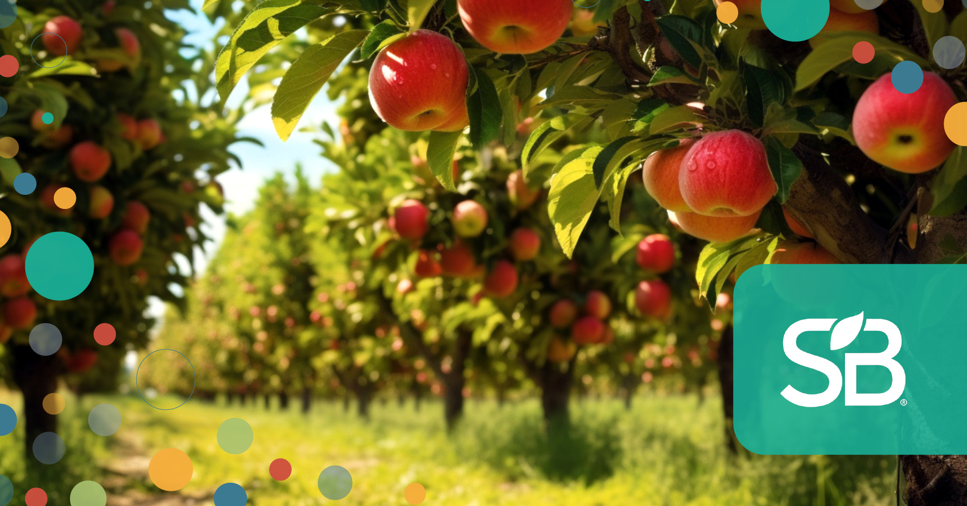 Why Isn’t There More Organic Farmland in the US?