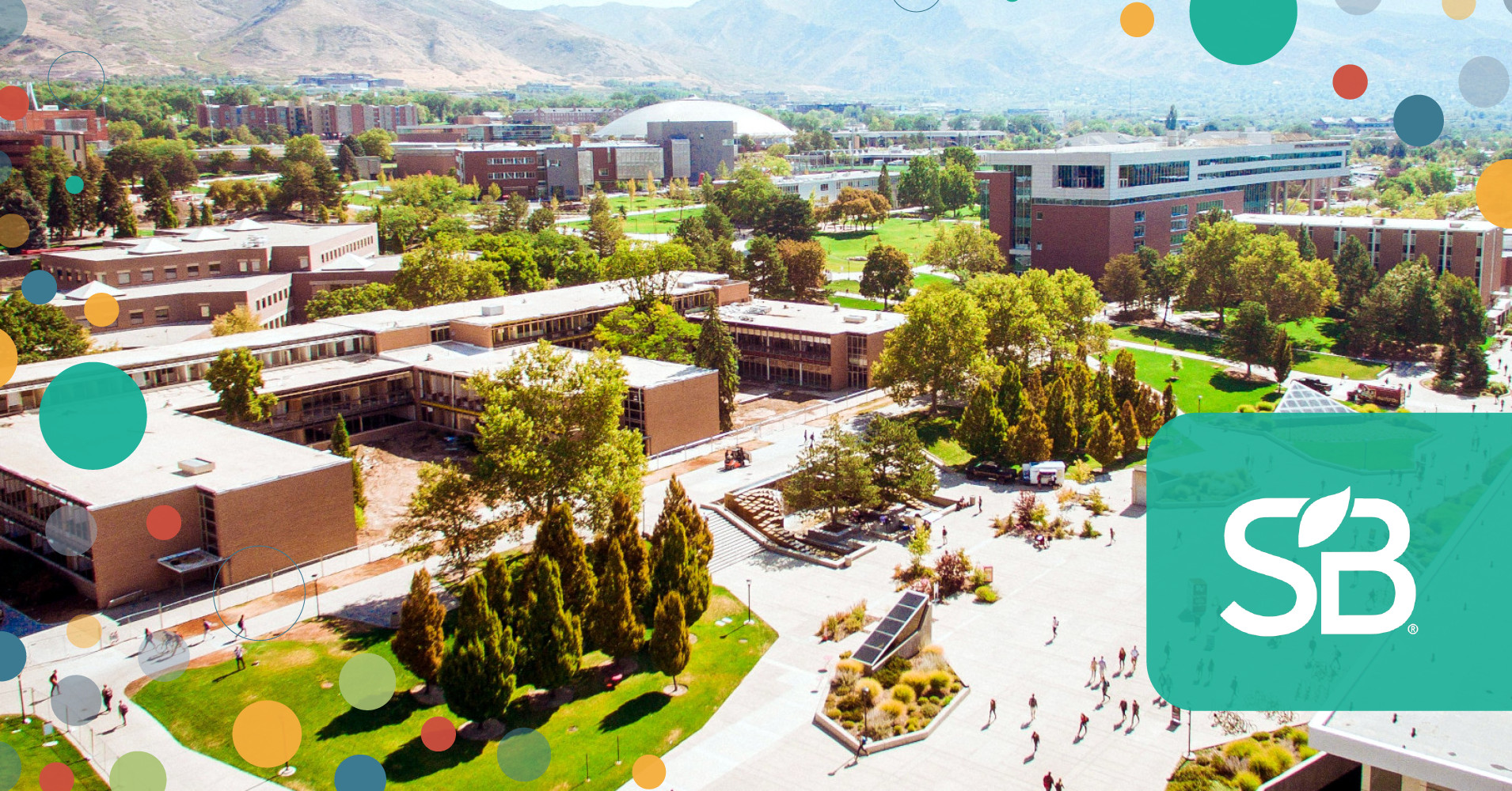 An Ecosystem Approach Is Key When Designing Urban Forestry