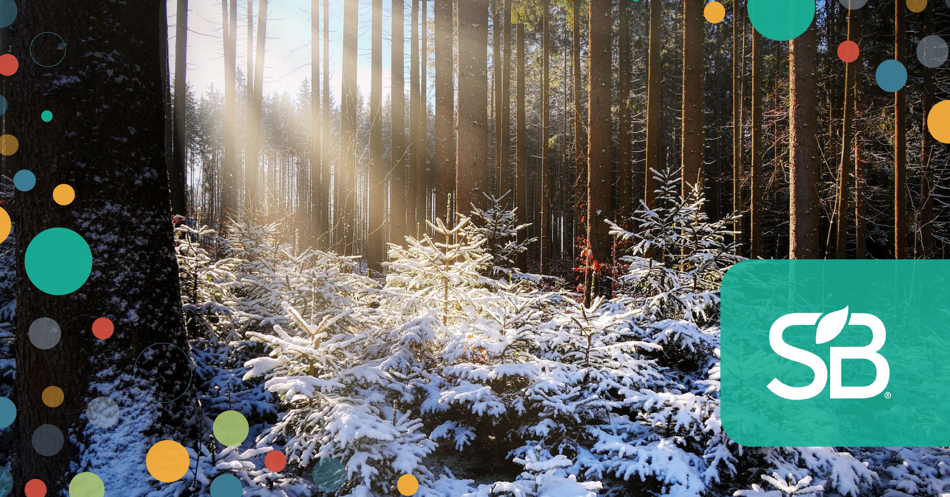 Newsflash: Not All Nature-Based Solutions Are Created Equal