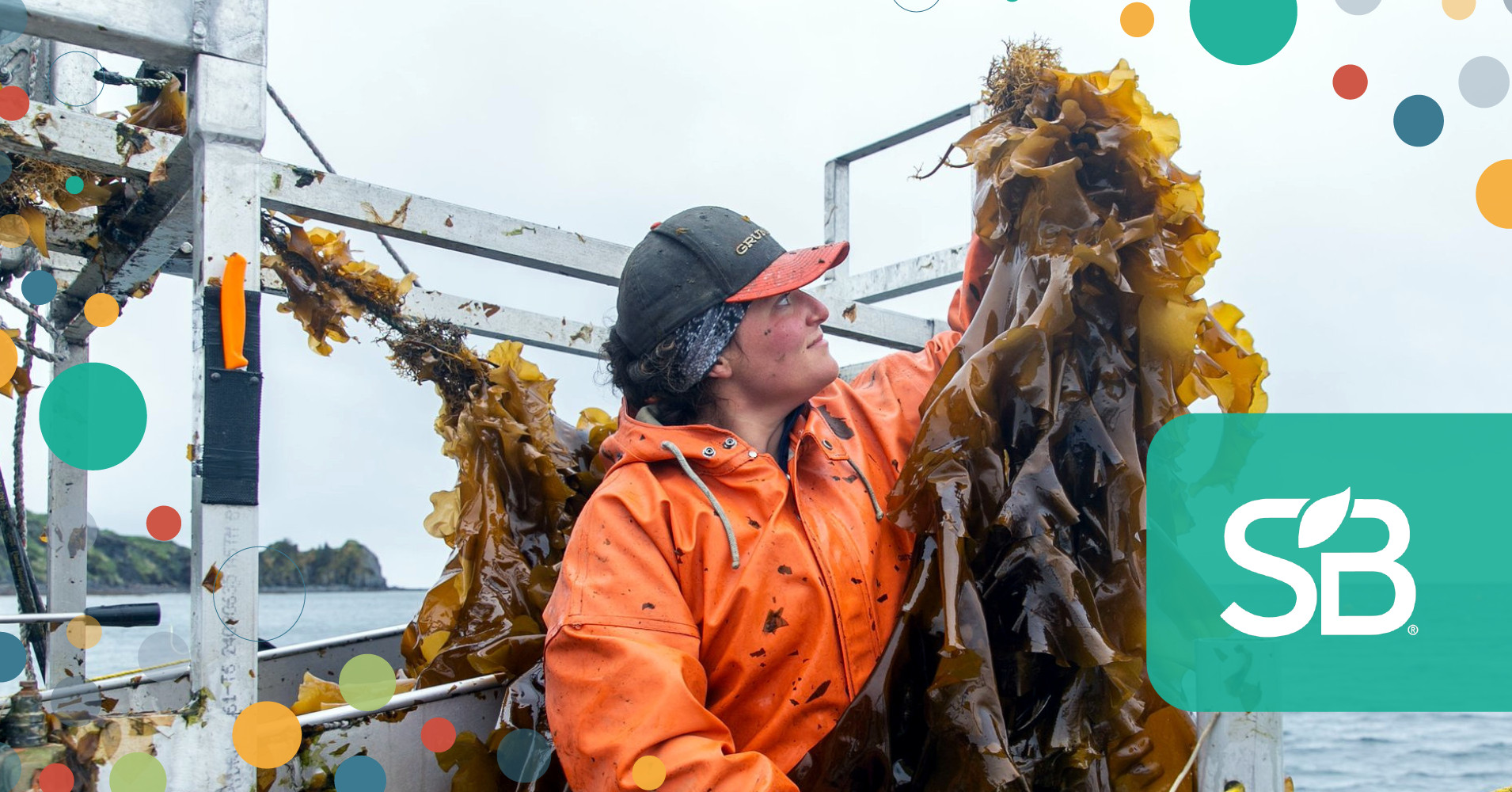 Could Seaweed Be the Key to Critical Mineral Independence?
