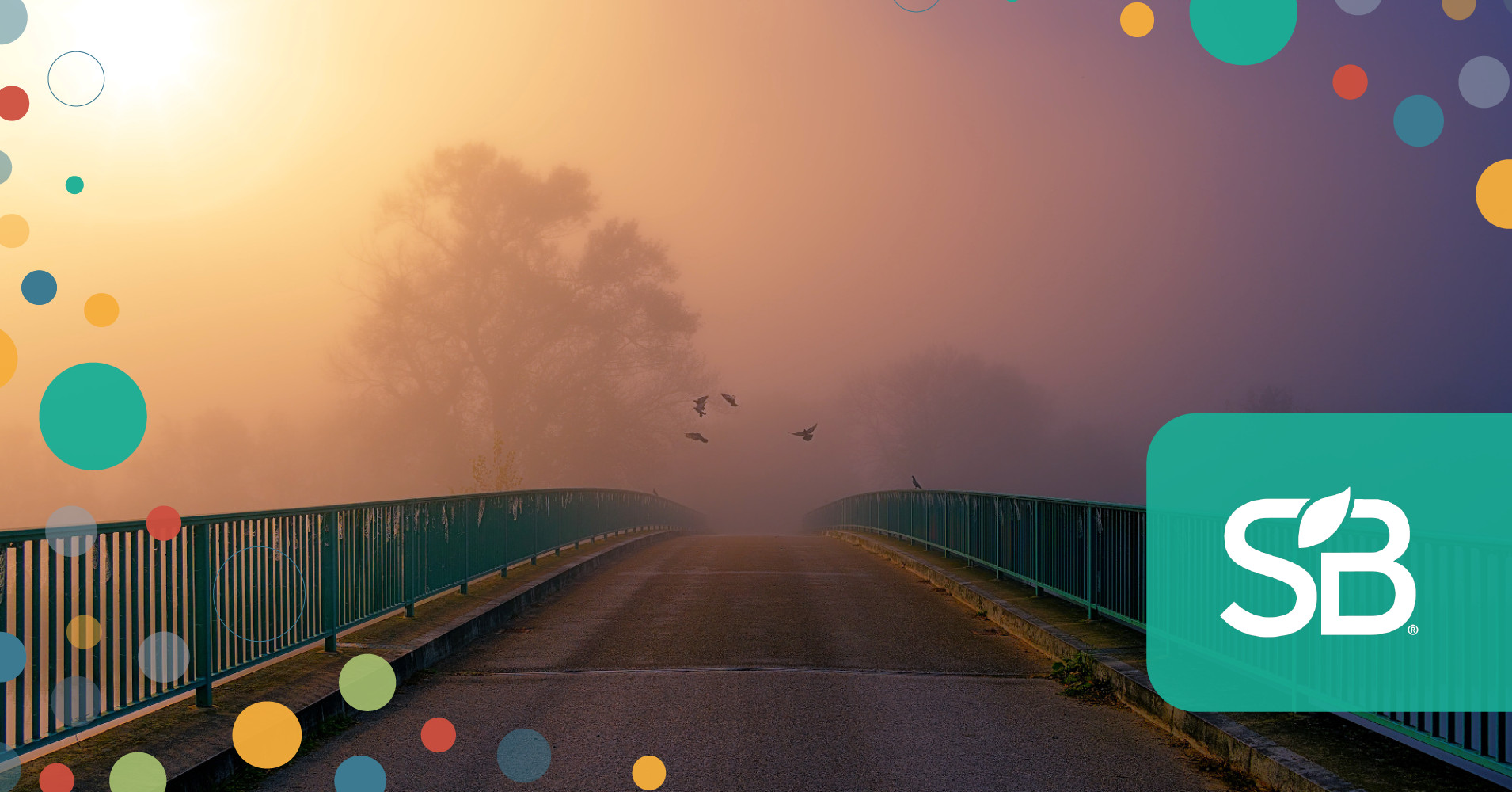 4 Reasons We Know Sustainability Is Not at a Crossroads