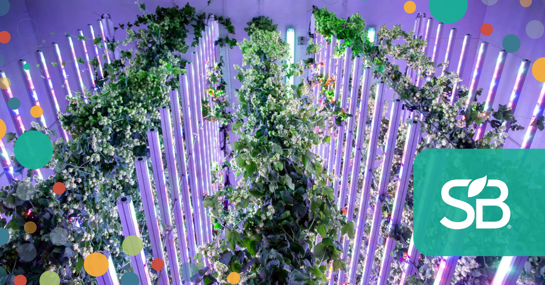 Study Offers 5 Ways to Effectively Depict Brand Sustainability