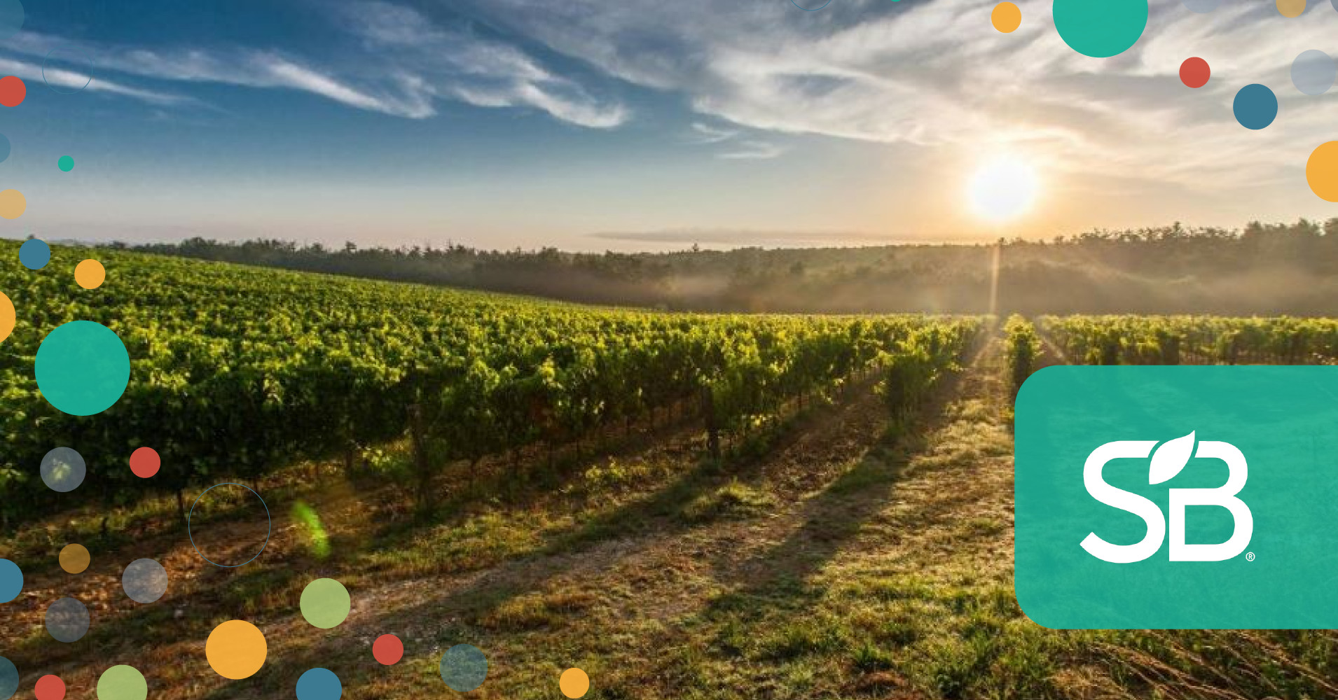 ADM Unveils 2024 Sustainability Report